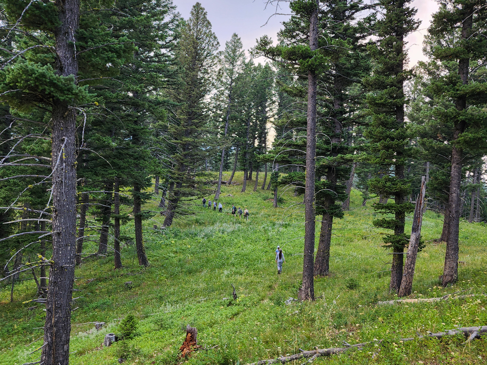The first flow trails in Bozeman, MT, are being built on private land ...