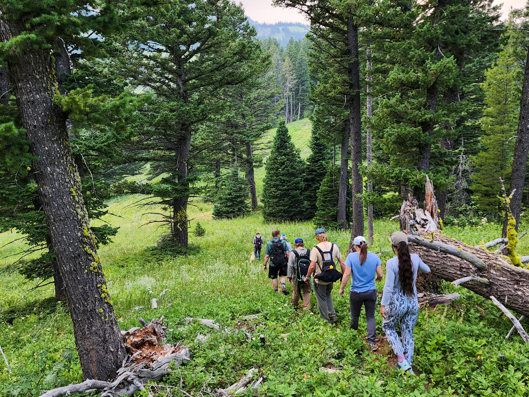 The first flow trails in Bozeman, MT, are being built on private land ...