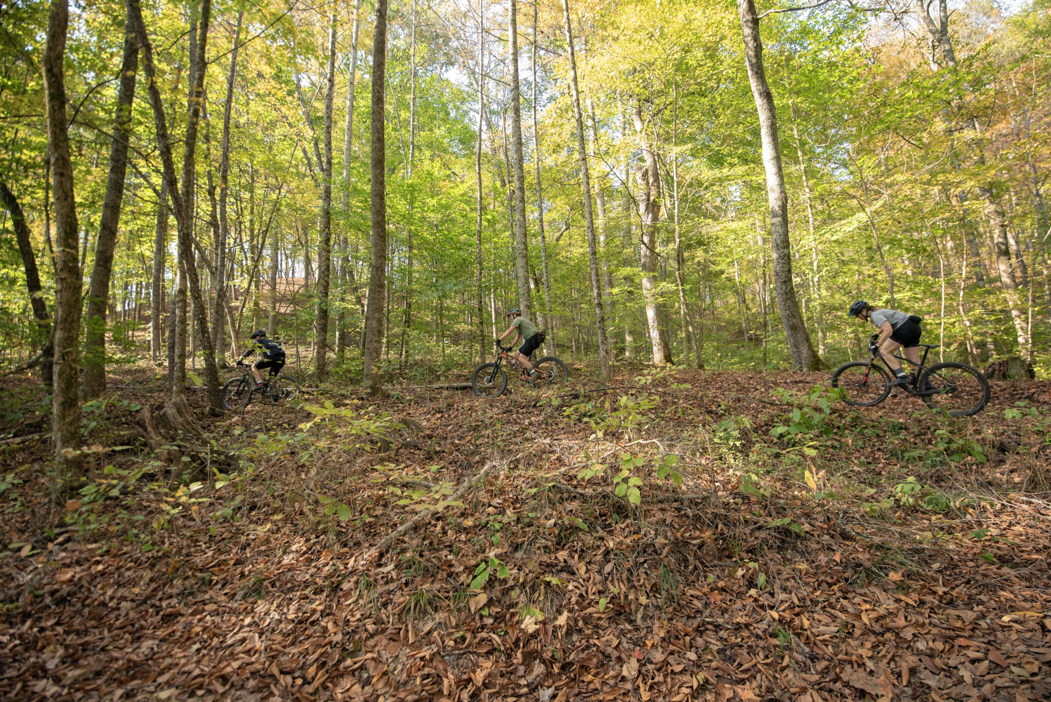The Baileys Trail System in Ohio will be one of the largest MTB trail ...