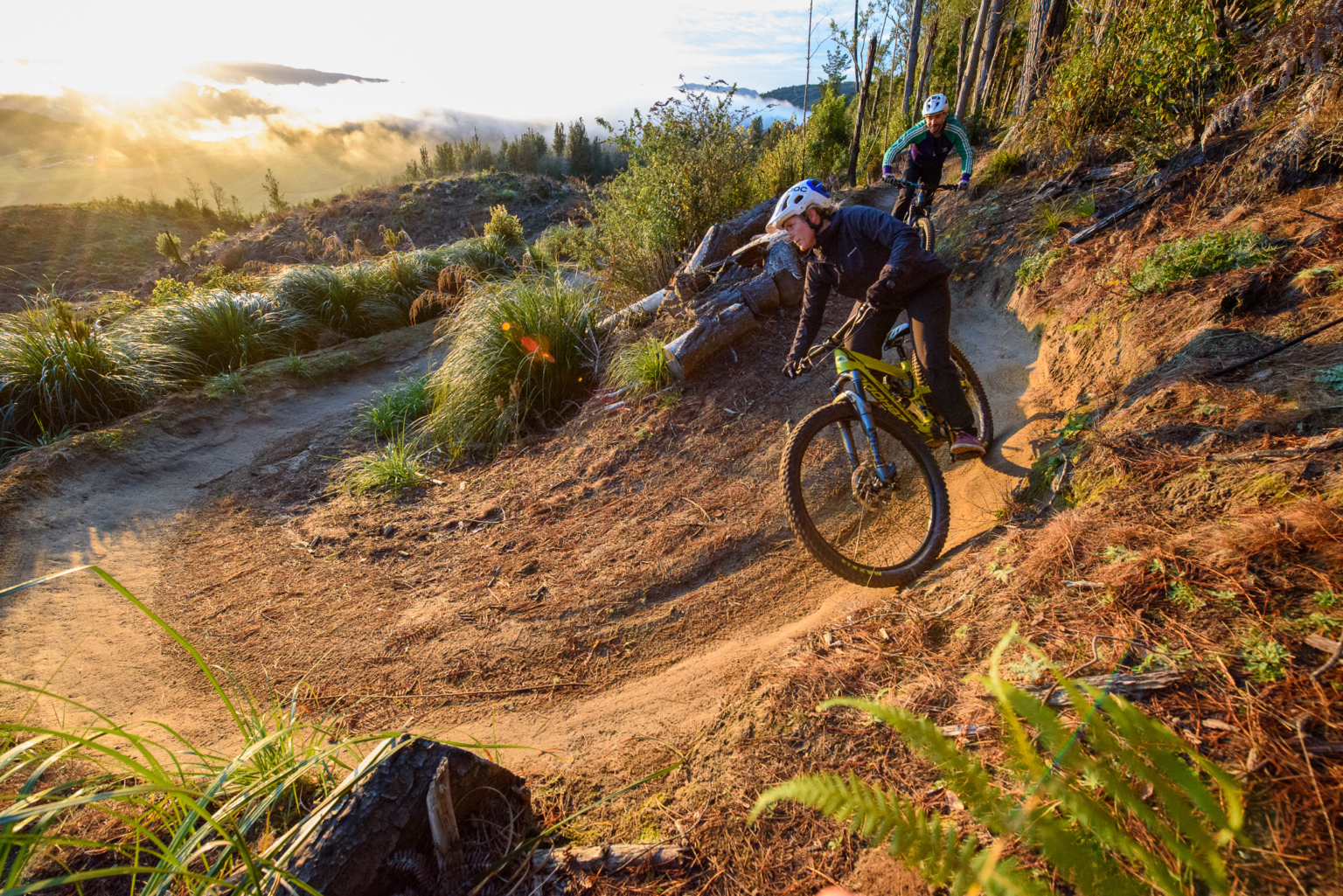 Rotorua has been a top New Zealand MTB destination for 30+ years. Here's how the trails stay ...