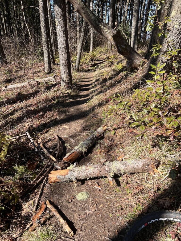 The only MTB-specific trail in Eugene, OR, has been vandalized ...