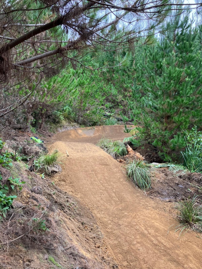 Rotorua has been a top New Zealand MTB destination for 30+ years. Here ...