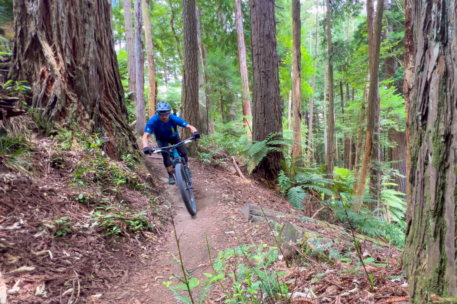 Rotorua has been a top New Zealand MTB destination for 30+ years. Here ...