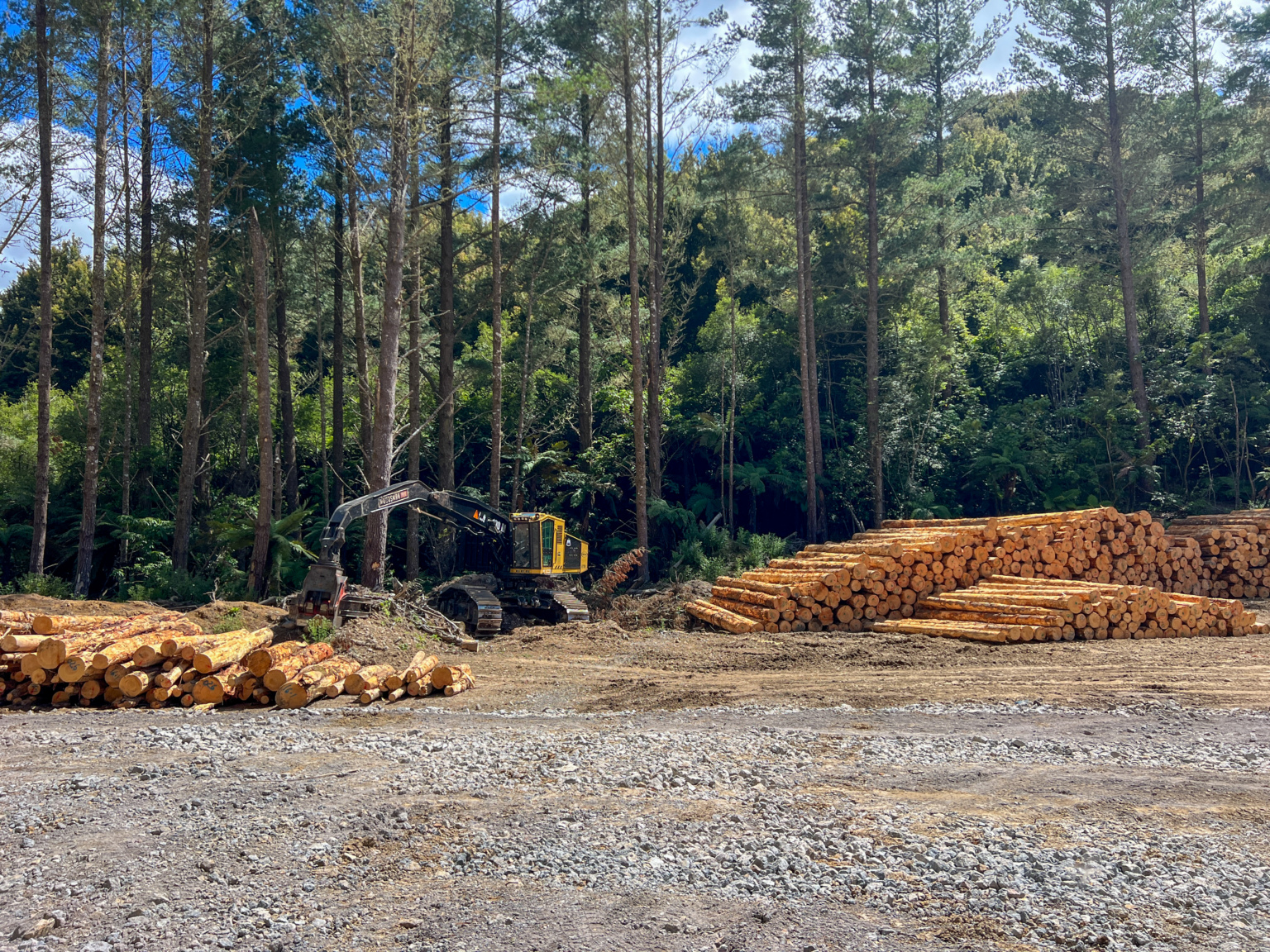 Rotorua has been a top New Zealand MTB destination for 30+ years. Here ...