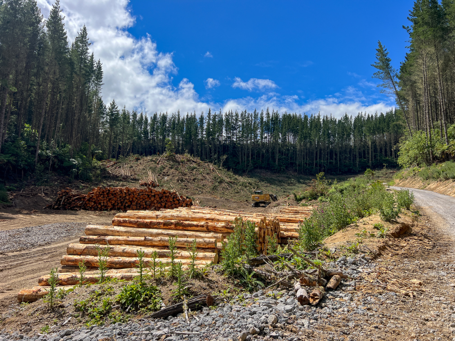 Rotorua has been a top New Zealand MTB destination for 30+ years. Here ...