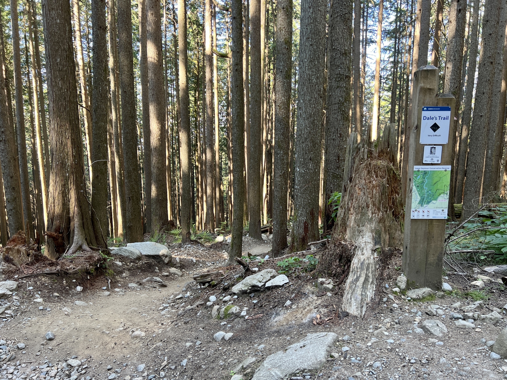 Can we 'make trail maintenance sexy'? 4 strategies that actually work ...