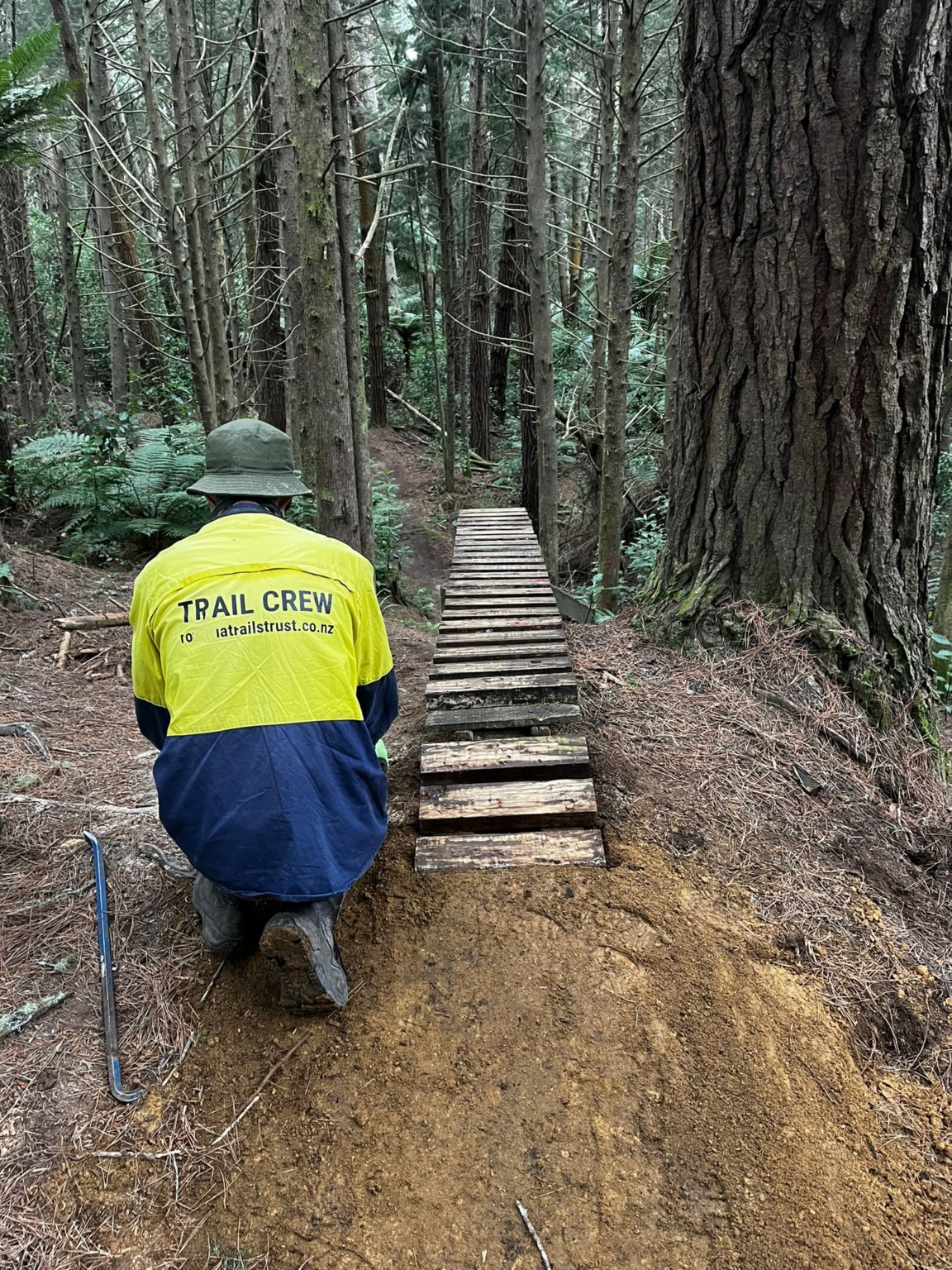 Rotorua has been a top New Zealand MTB destination for 30+ years. Here ...