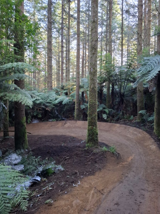 Rotorua has been a top New Zealand MTB destination for 30+ years. Here ...