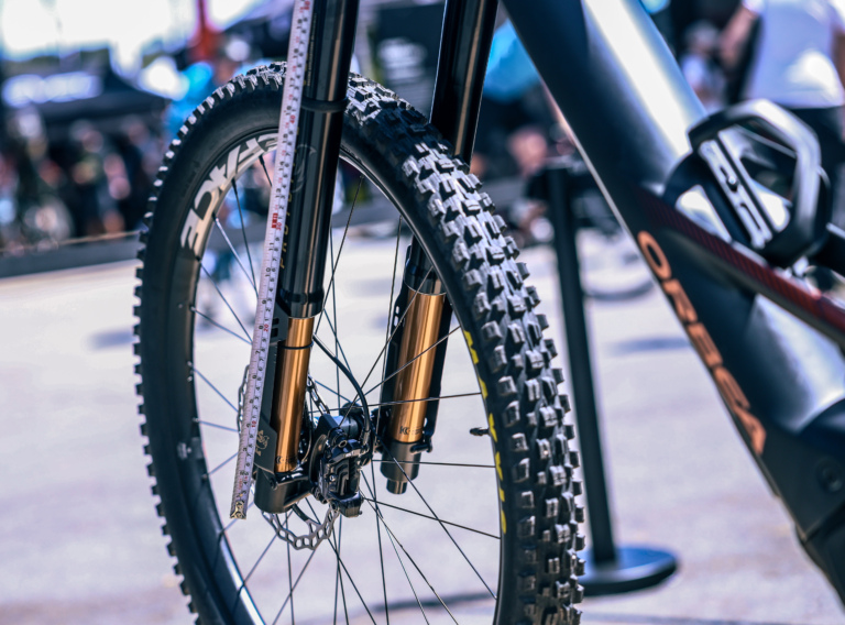 ICYMI: The most surprising and exciting Sea Otter finds of 2025 ...