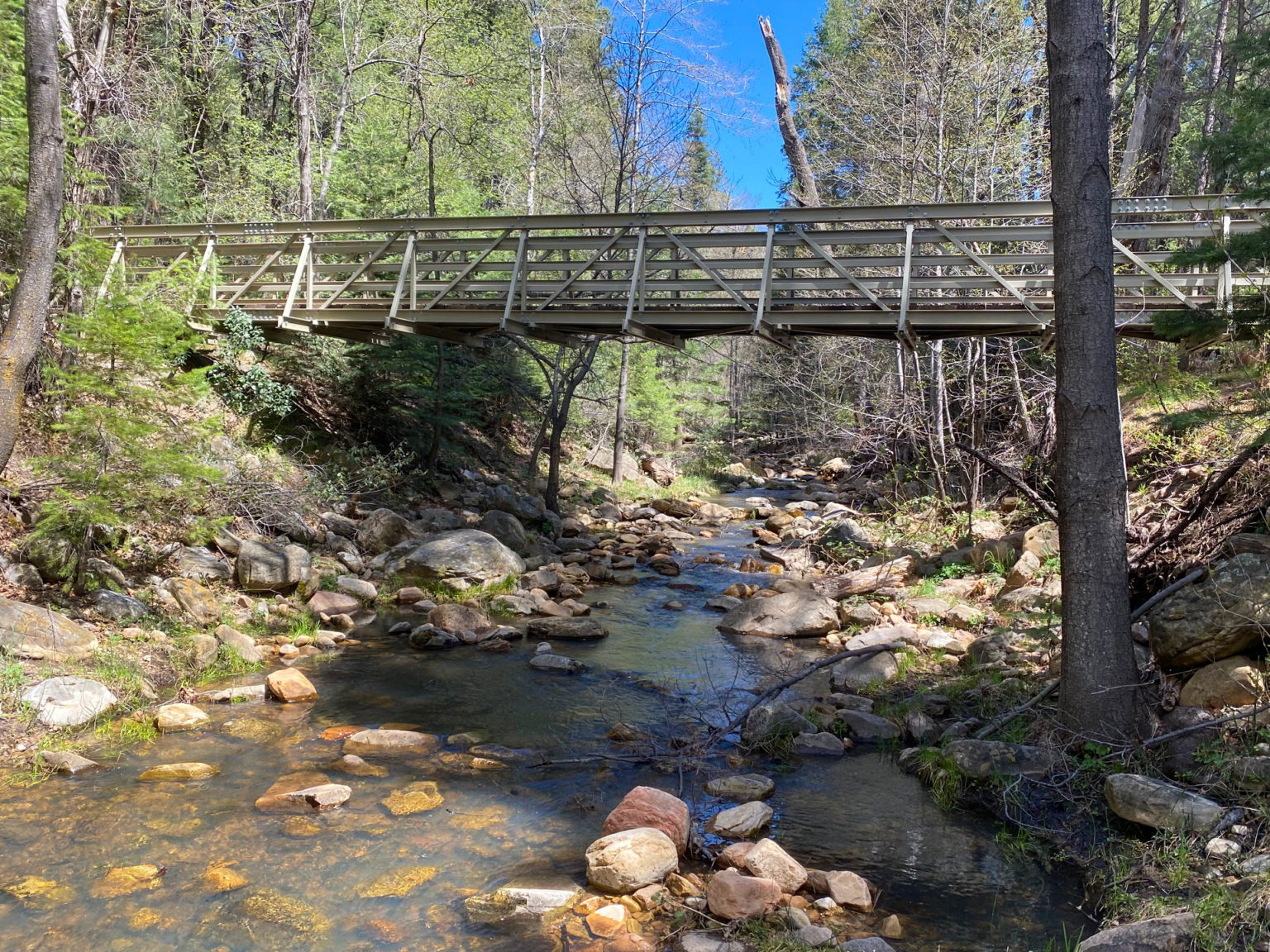A 21-mile MTB loop now circumnavigates the town of Pine, AZ ...