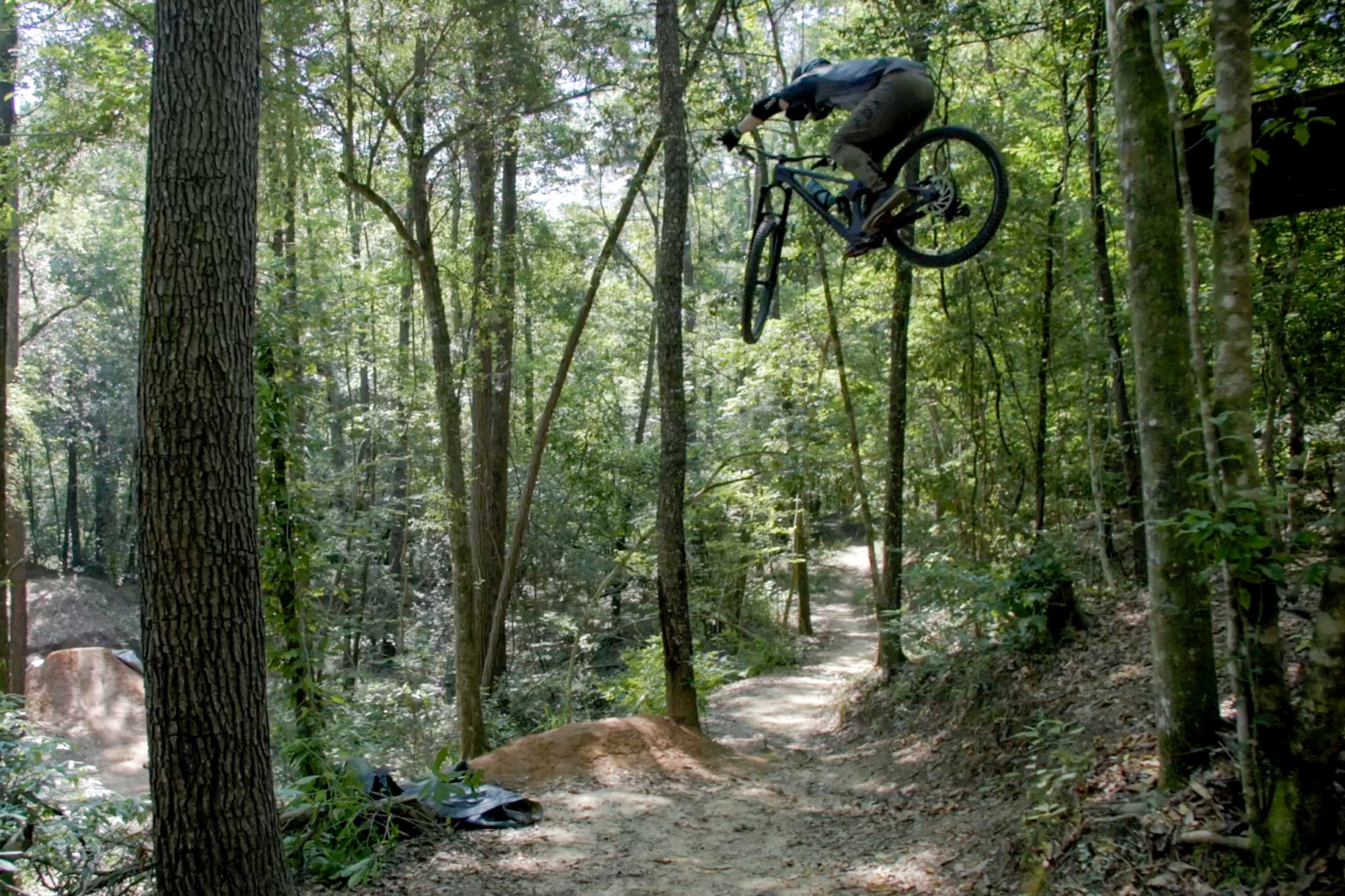 The new MTB trails at Louisiana's Bogue Chitto State Park have been an ...