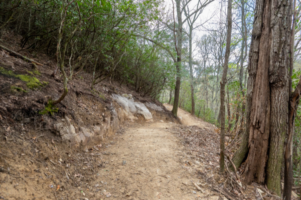 New trail opening brings Coldwater Mountain in Anniston, Alabama, to 56 ...