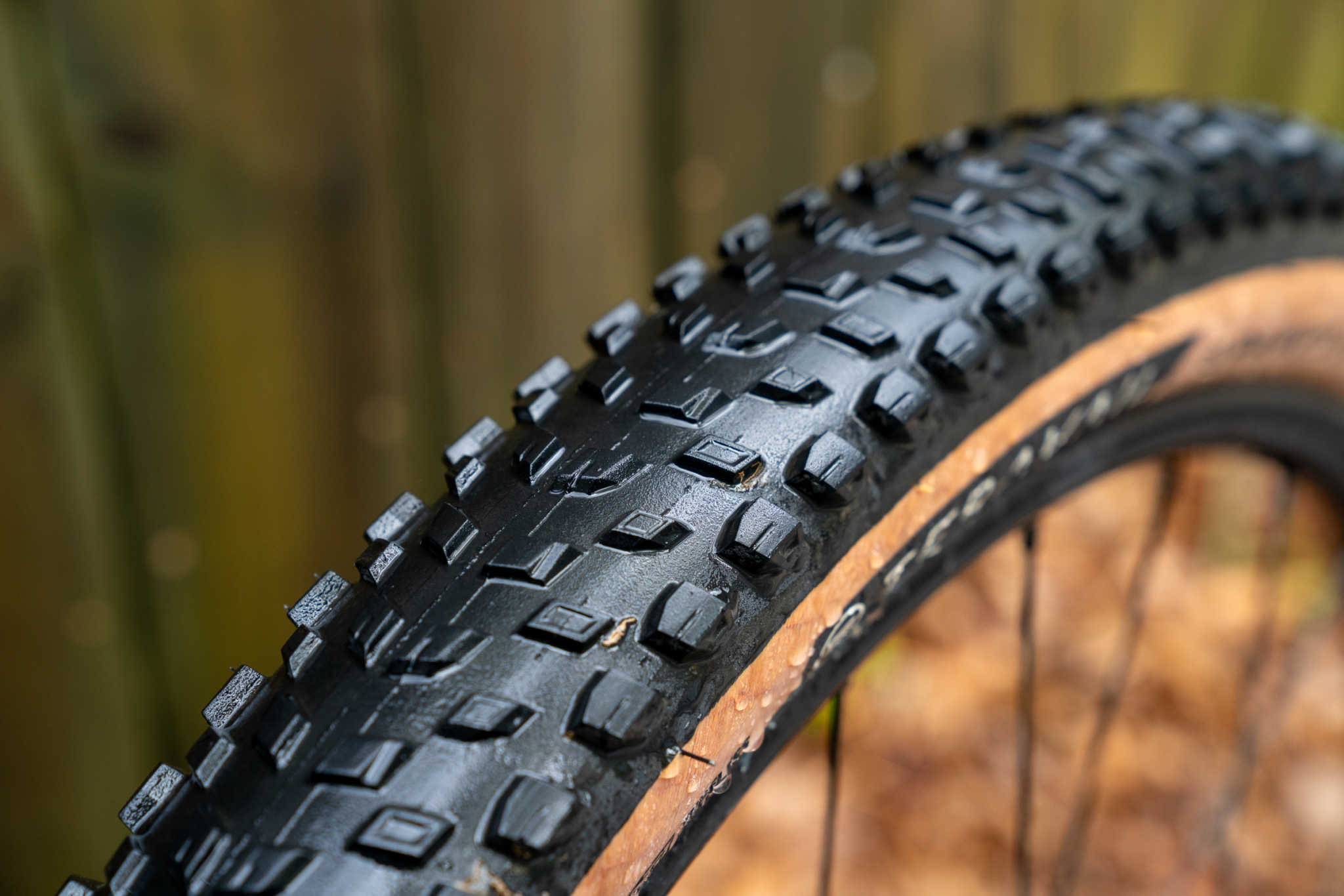 Teravail Drawpoint downcountry tire review - Singletracks Mountain Bike News