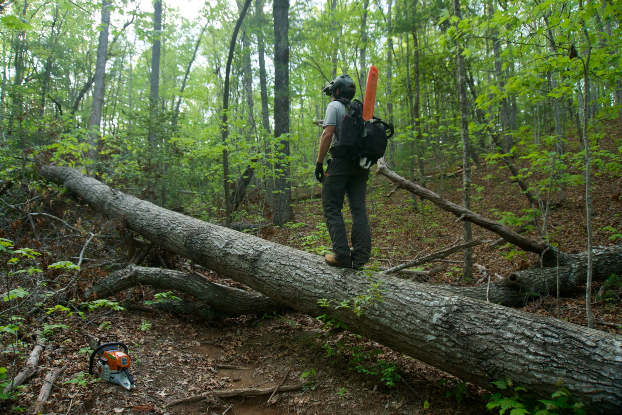 EVOC Trail Builder 35 backpack is designed to carry a chainsaw [Review ...