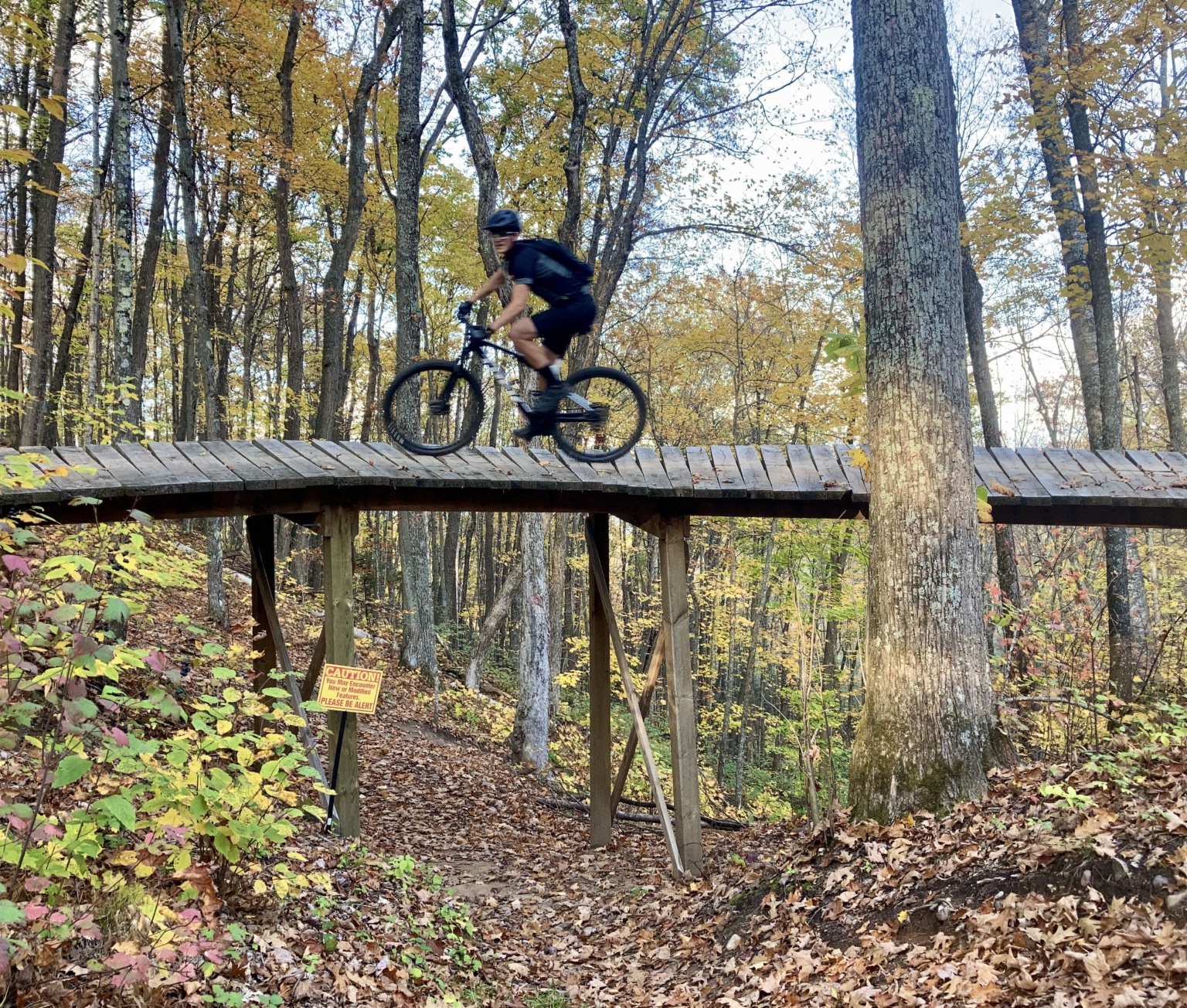 CAMBA is rebuilding 6 Wisconsin mountain bike trails in 2025 to make ...