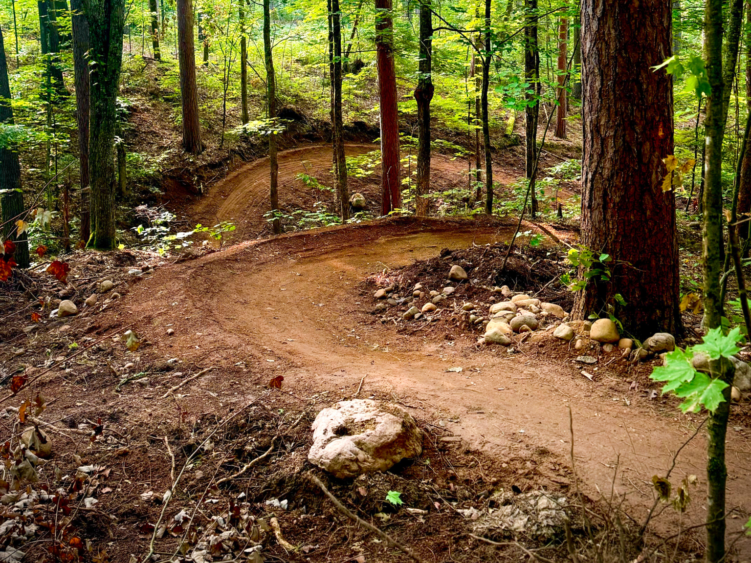 CAMBA is rebuilding 6 Wisconsin mountain bike trails in 2025 to make ...
