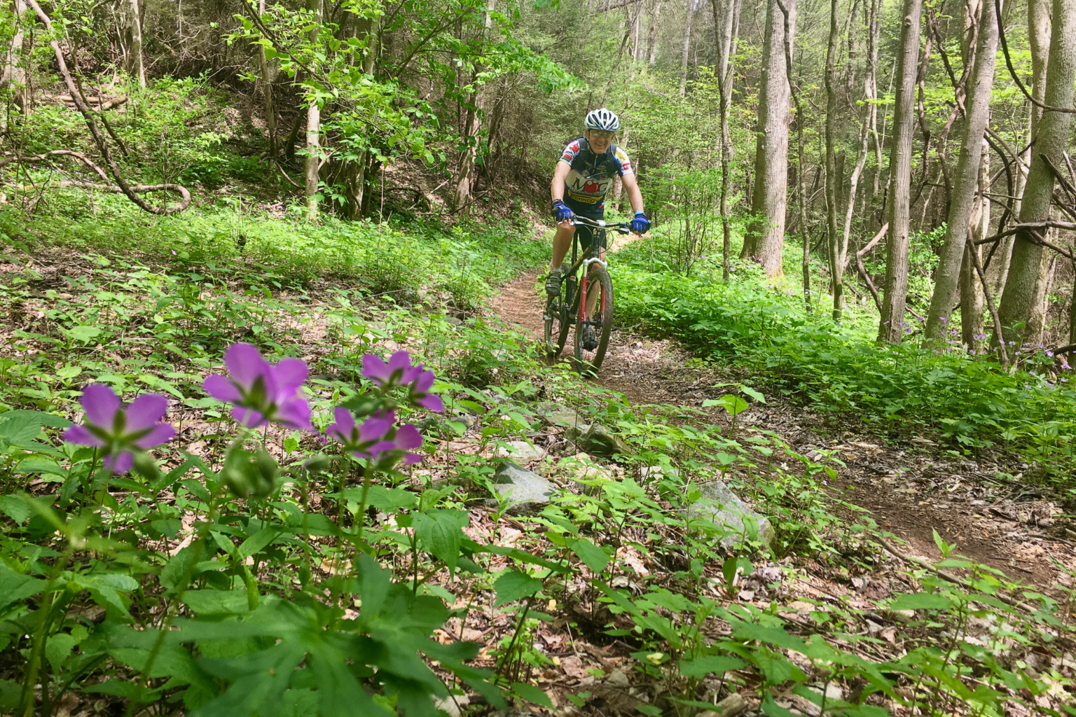 5 of the best mountain bike trails in Georgia - Singletracks Mountain ...