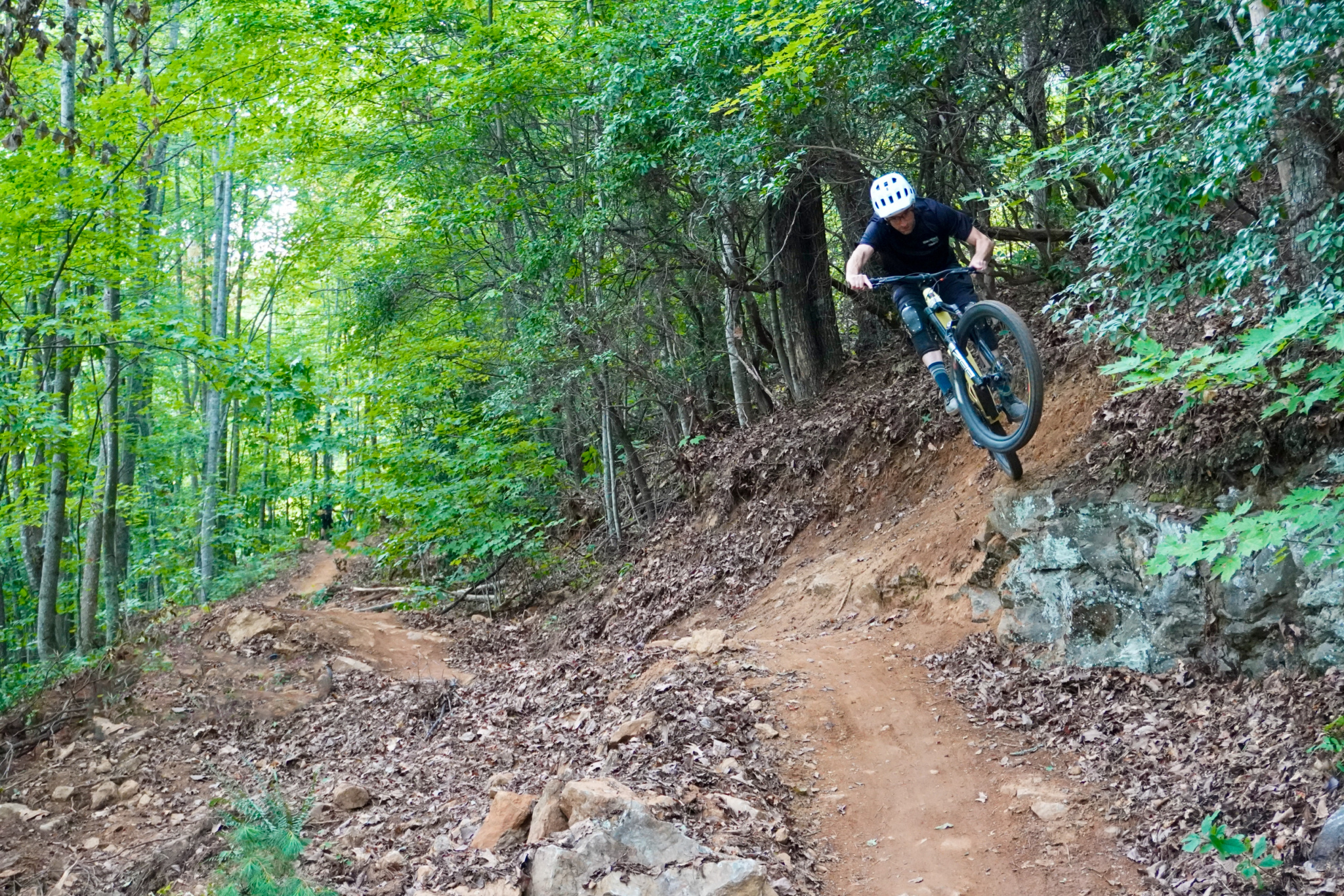 5 of the best mountain bike trails in North Carolina - Singletracks ...