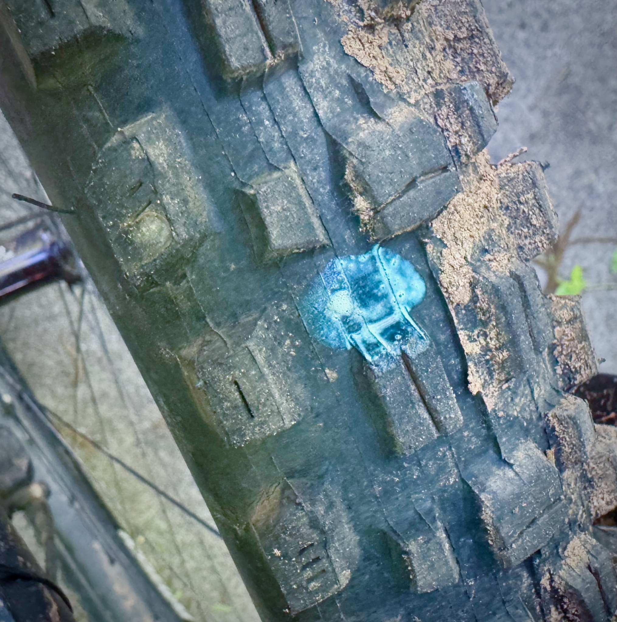 Is Slime Tubeless Bicycle Tire Sealant any good? We put it to the test ...
