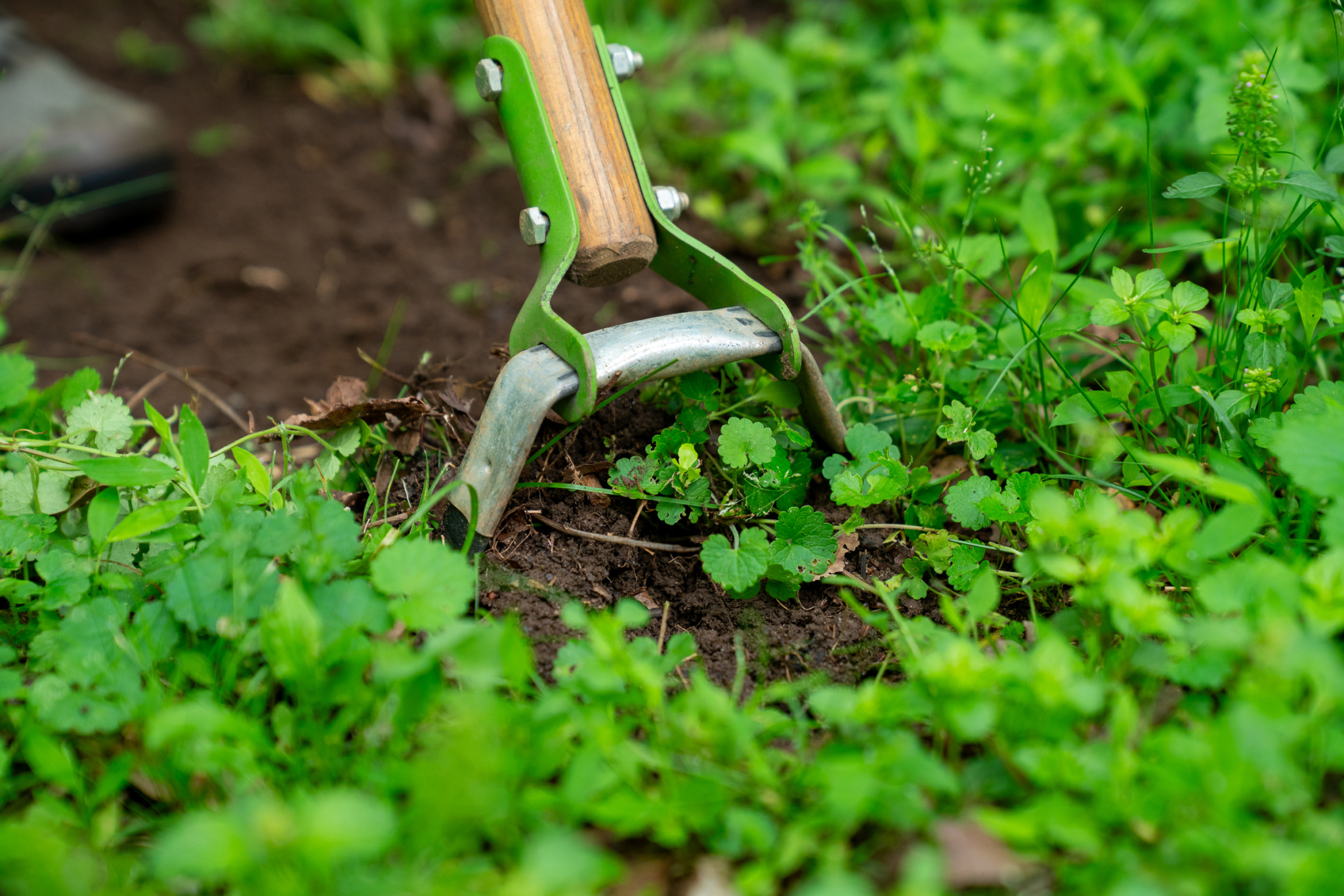 An action hoe — AKA a loop, scuffle, or Stirrup — makes for quick trail ...
