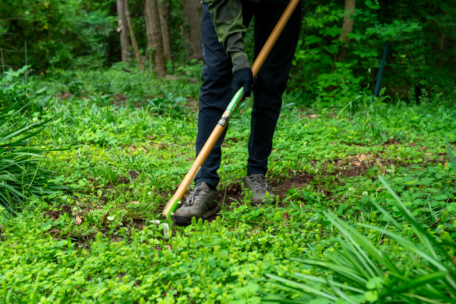 An action hoe — AKA a loop, scuffle, or Stirrup — makes for quick trail work - Singletracks ...