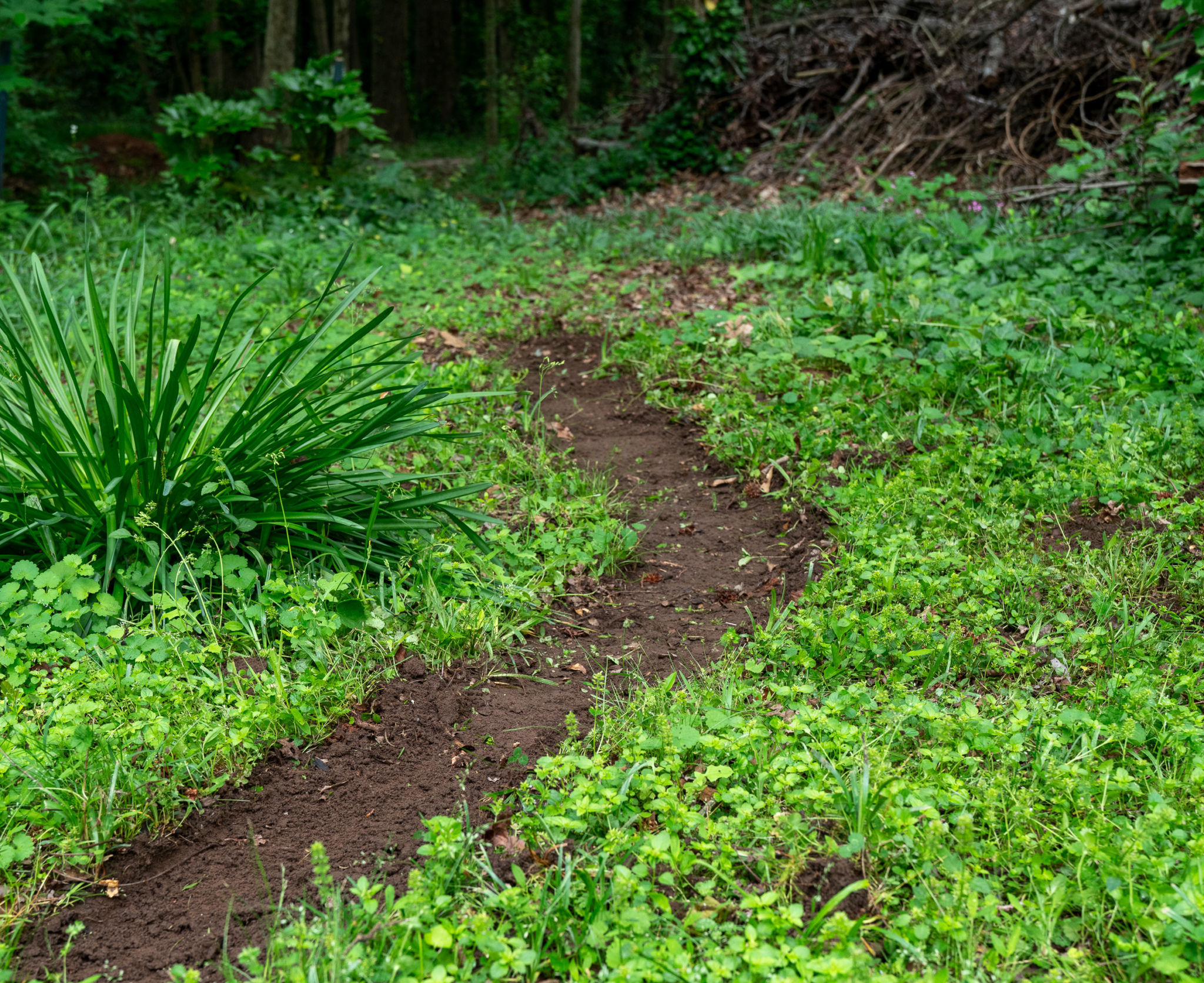 An action hoe — AKA a loop, scuffle, or Stirrup — makes for quick trail ...