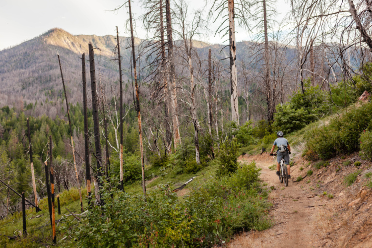 Redding is California's sunniest city and it boasts over 200 miles of ...