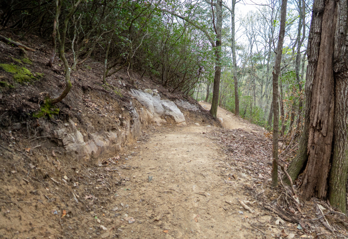 How eMTBs are changing new trail design (and how they're not ...