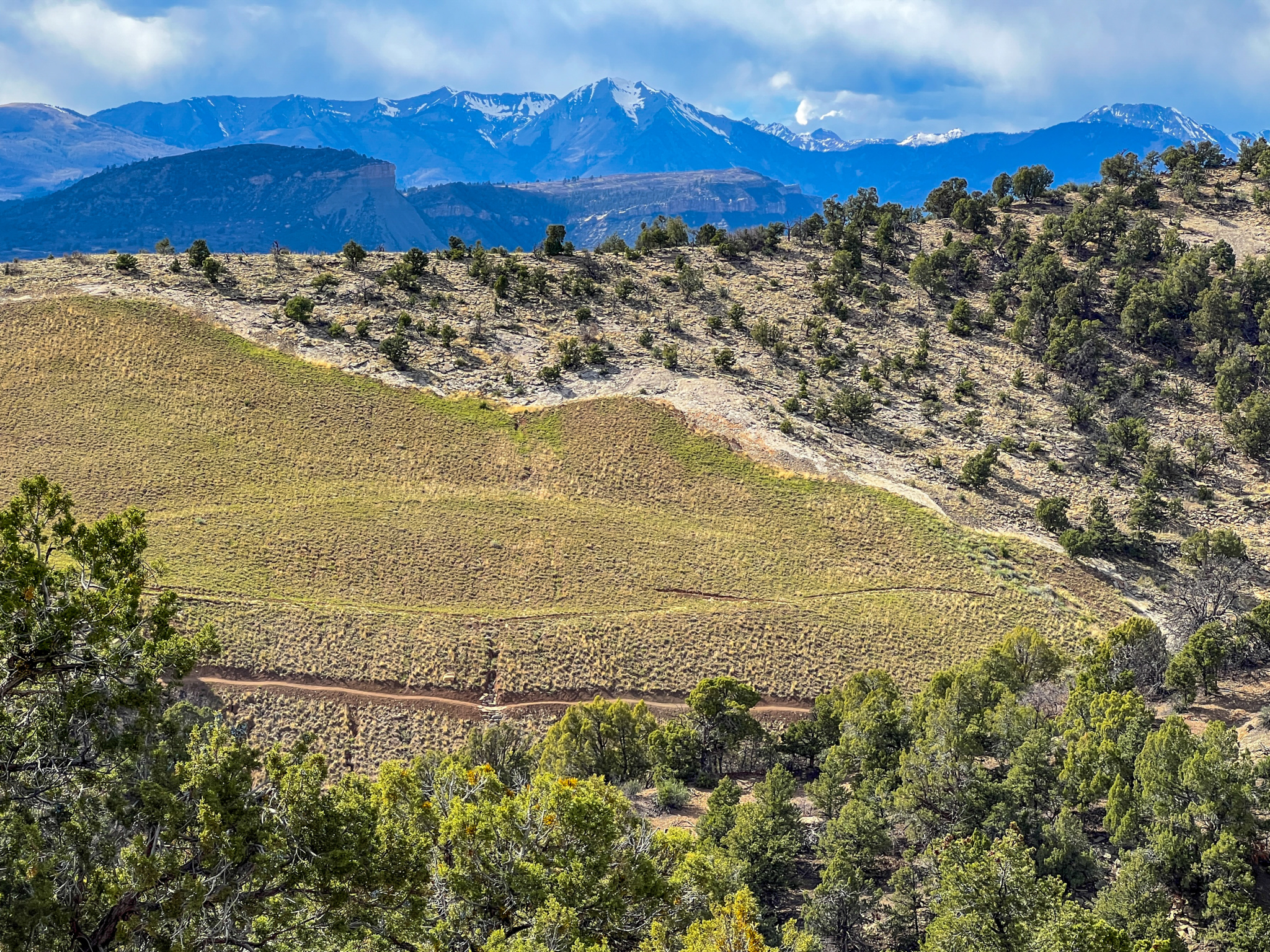 Durango Mesa Park takes a major step forward with new trails in 2025 ...