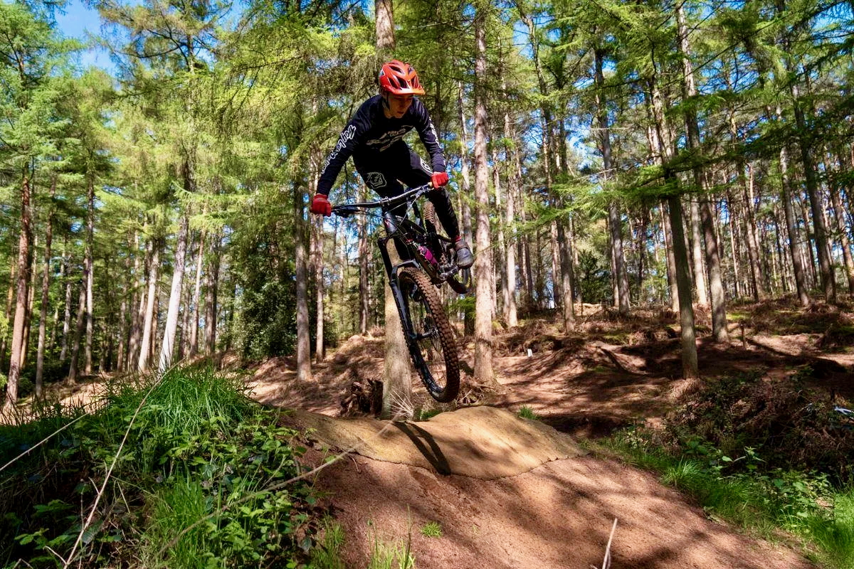 New purpose-built jump trails are coming to the Whippendell Wood just ...