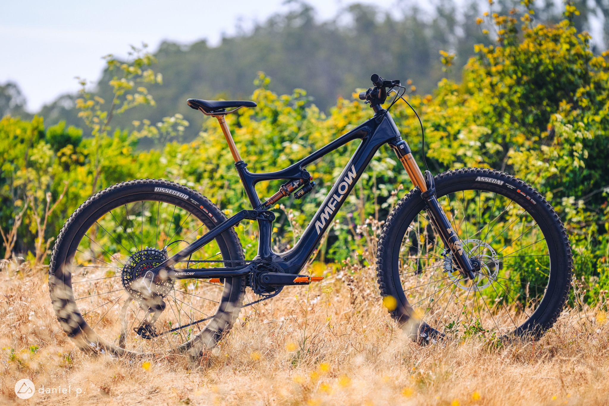 The Amflow PL Carbon Pro electric mountain bike sets a new standard ...