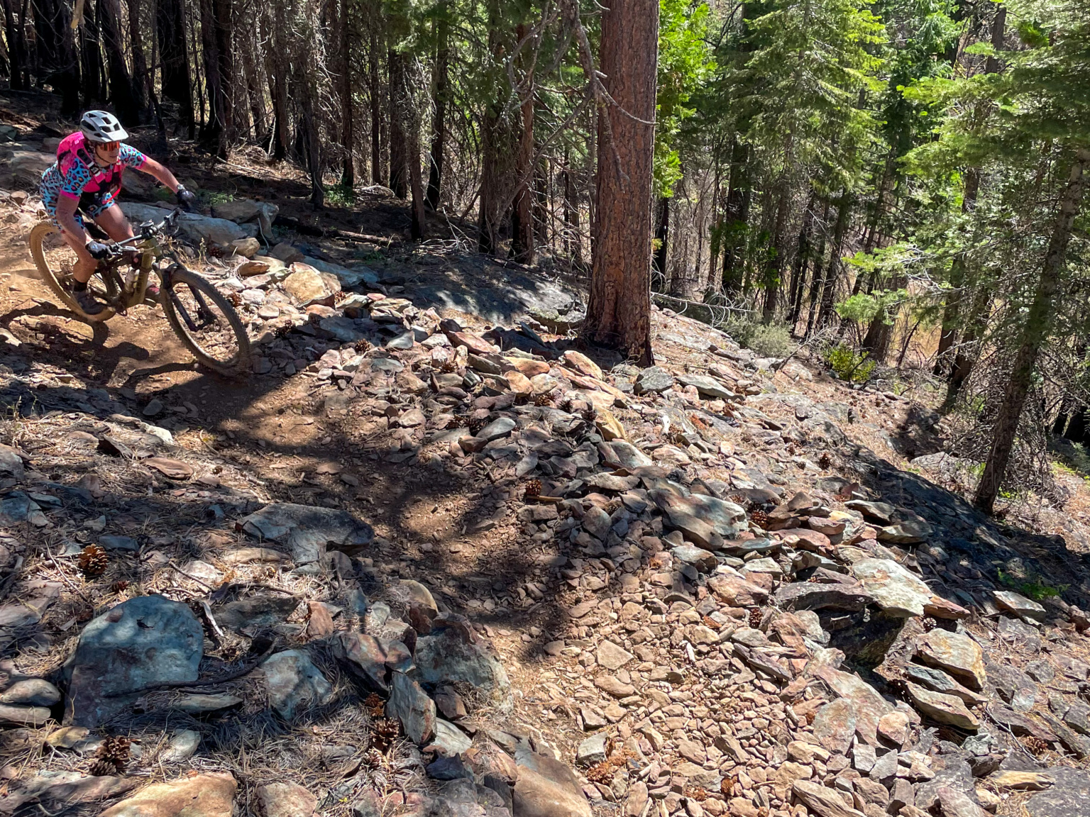 The Tollgate Trail is California's newest shuttle run, dropping 3,500 ...