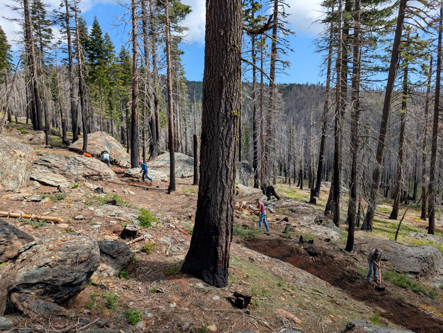 The Tollgate Trail is California's newest shuttle run, dropping 3,500 ...