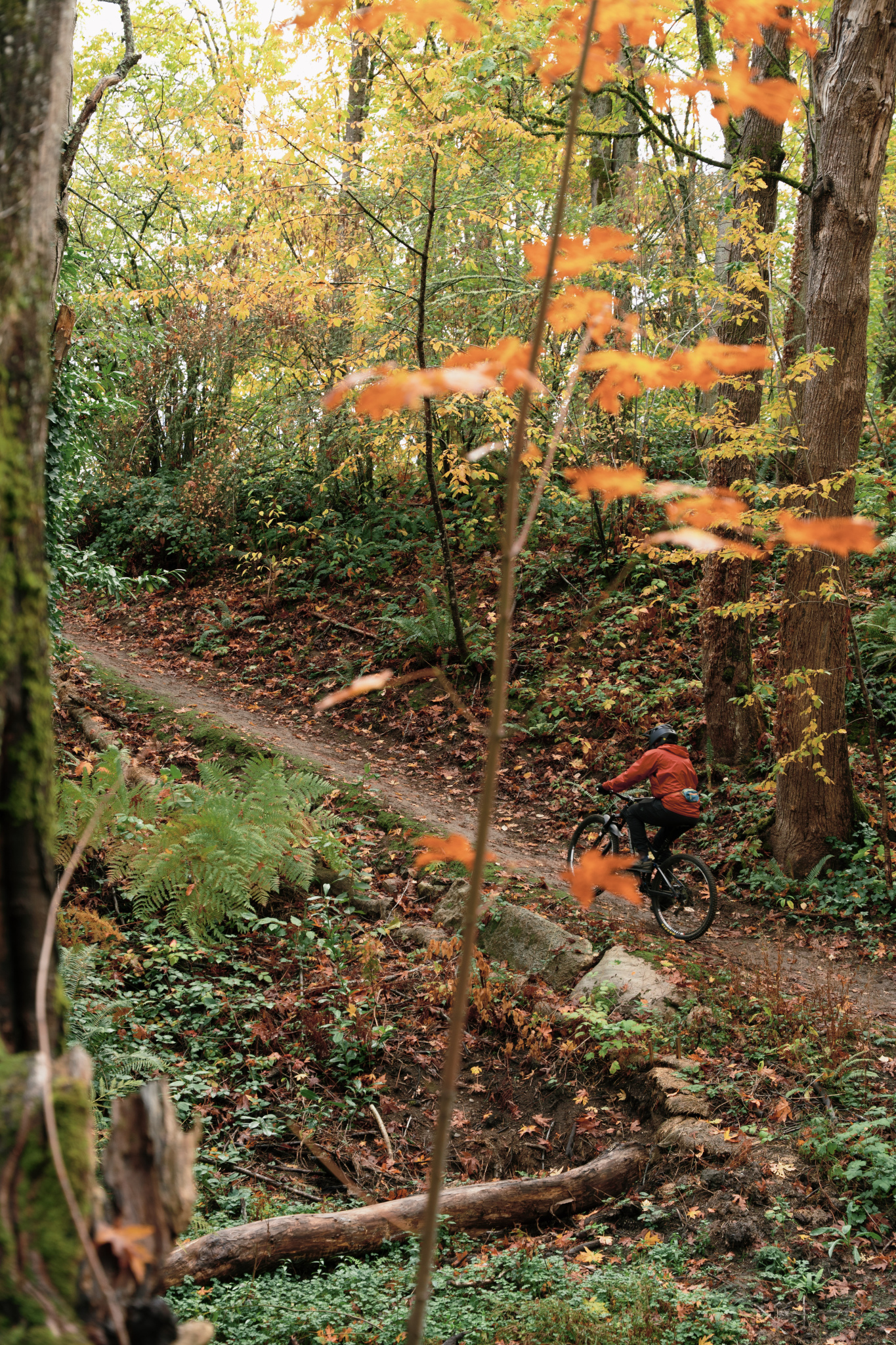 The Cheasty Greenspace is home to Seattle's 'first forested urban MTB ...