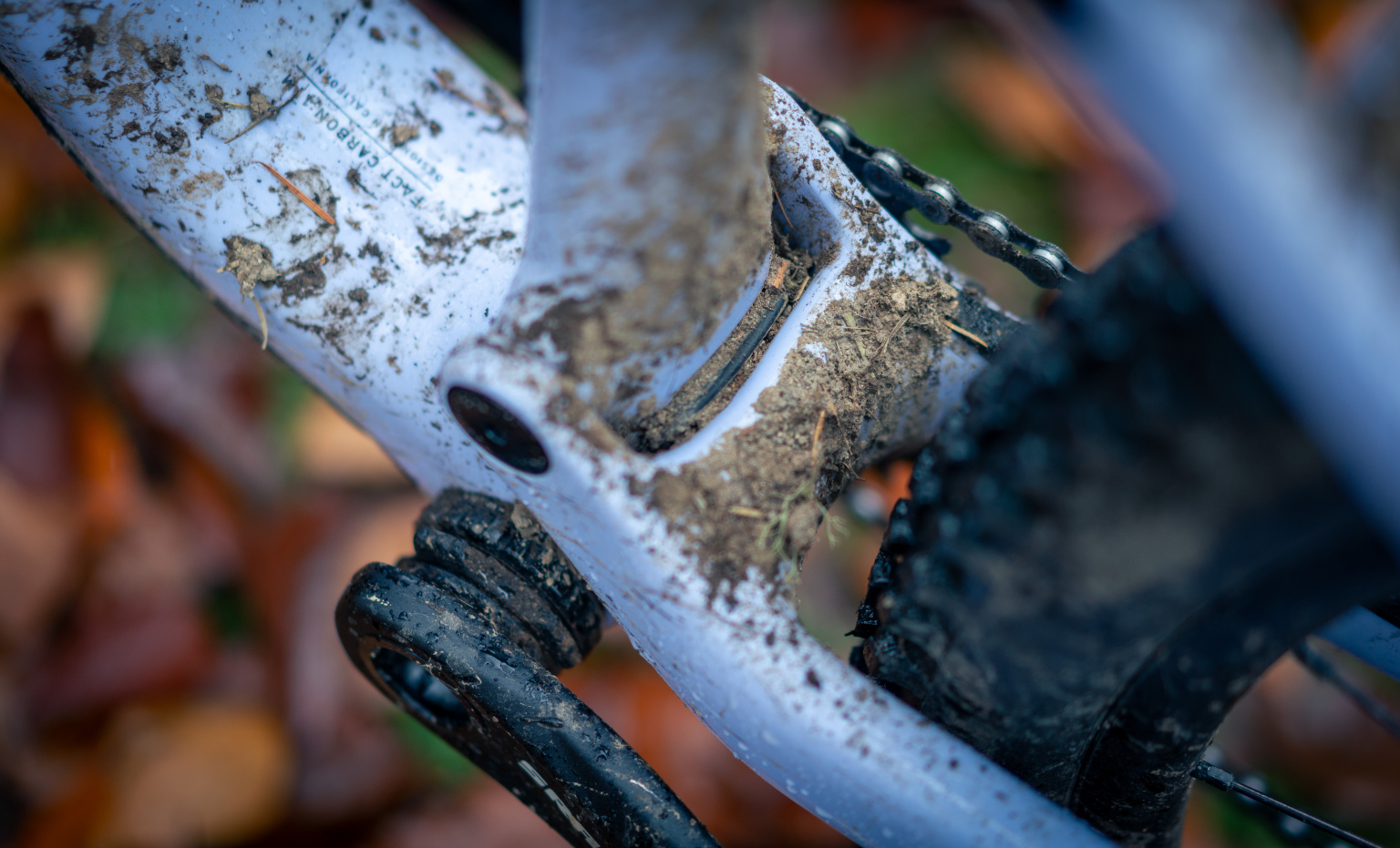 Specialized Epic 8 EVO Review: Why this $4,999 XC bike punches above ...
