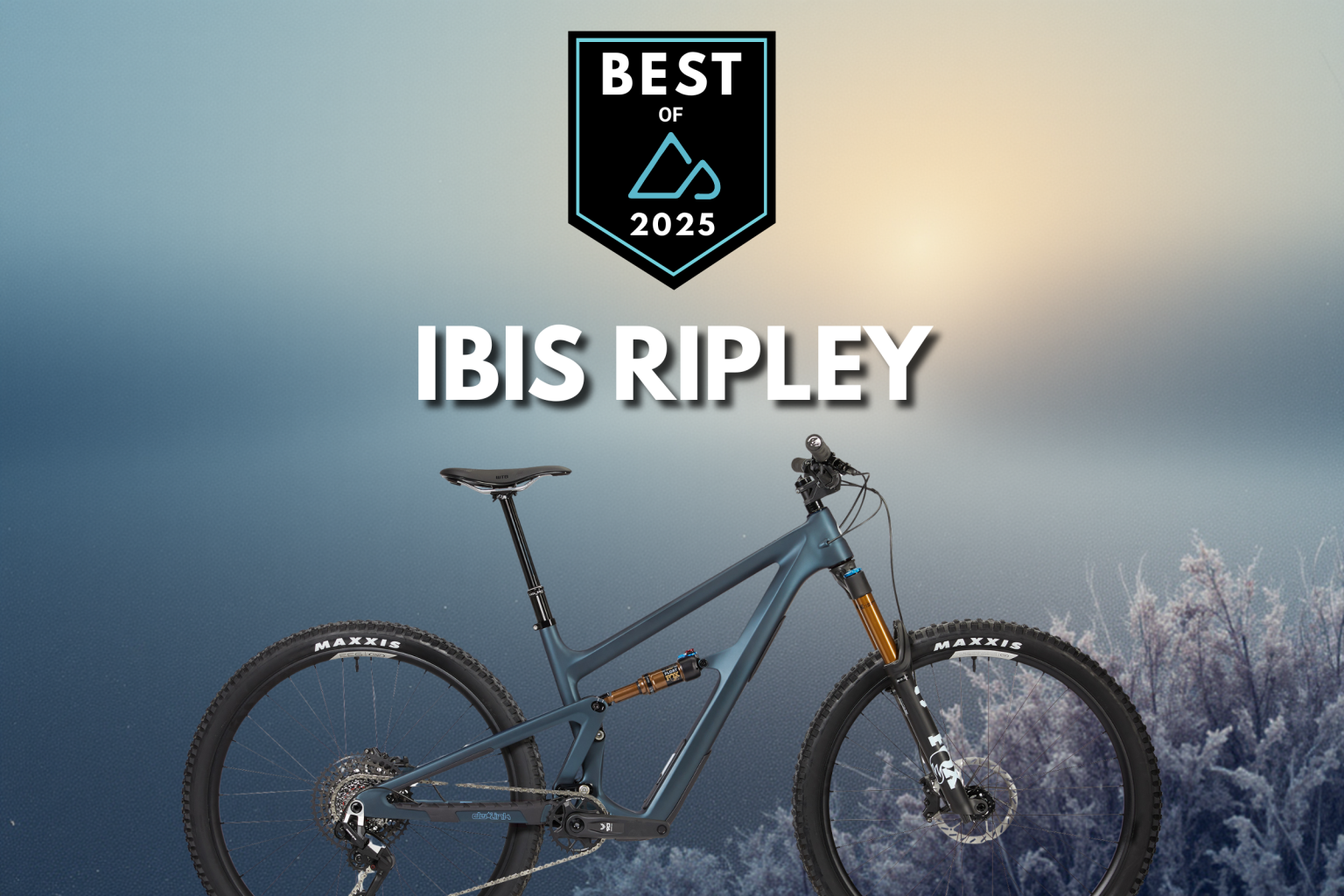 The Ibis Ripley v5 is Singletracks readers' 2025 Trail Bike of the Year ...