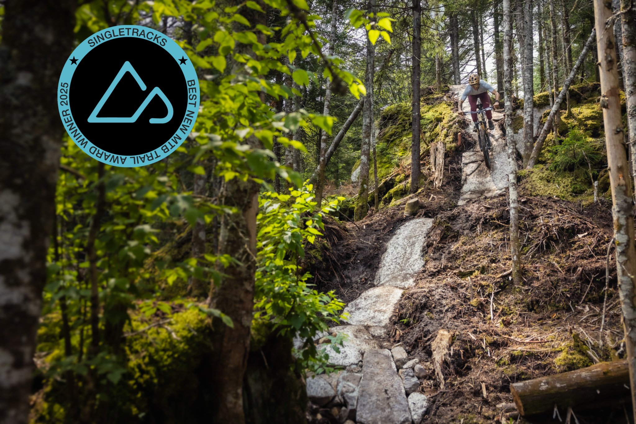 9 of the best mountain bike trails built in North America in 2025 ...