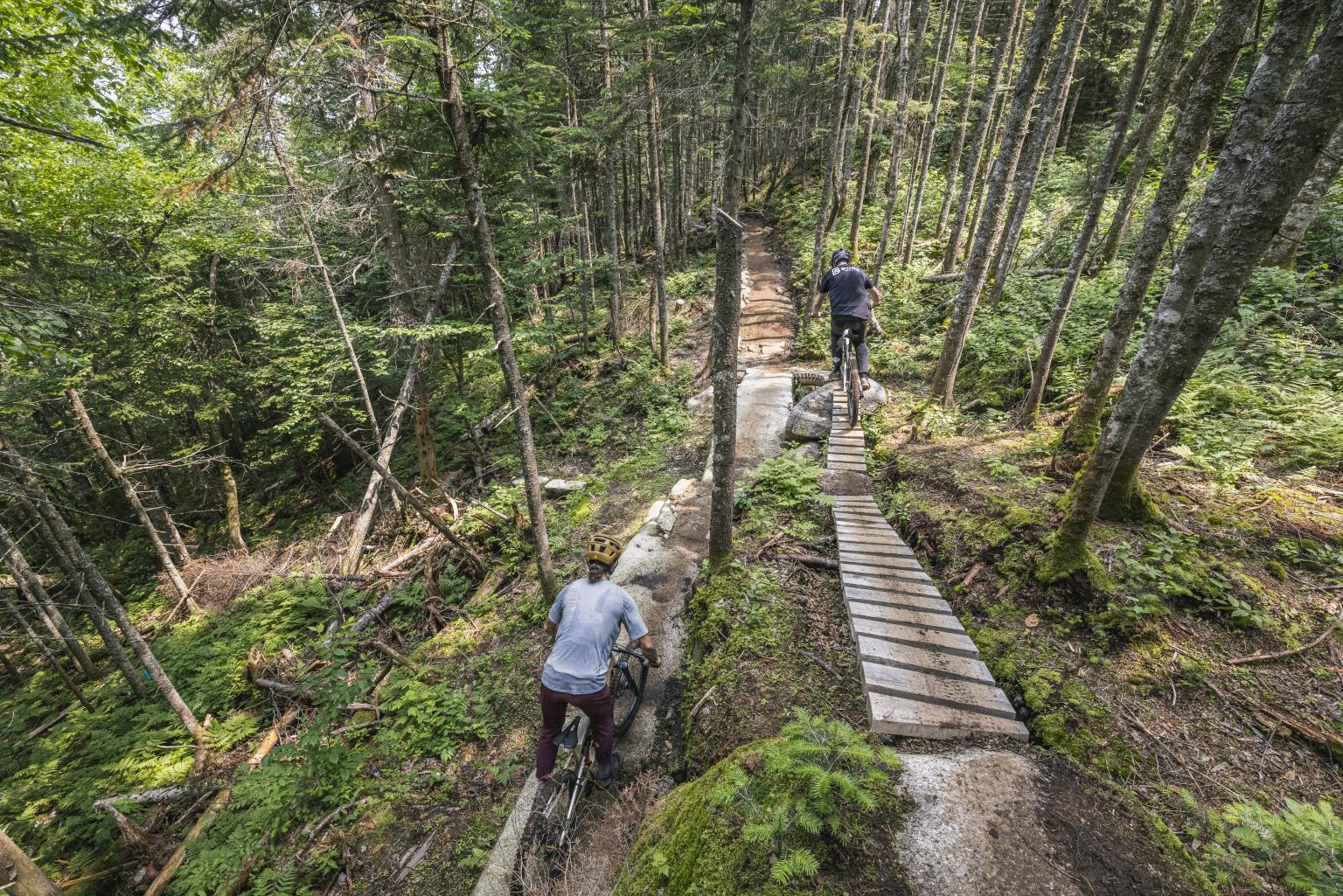 9 of the best mountain bike trails built in North America in 2025 ...
