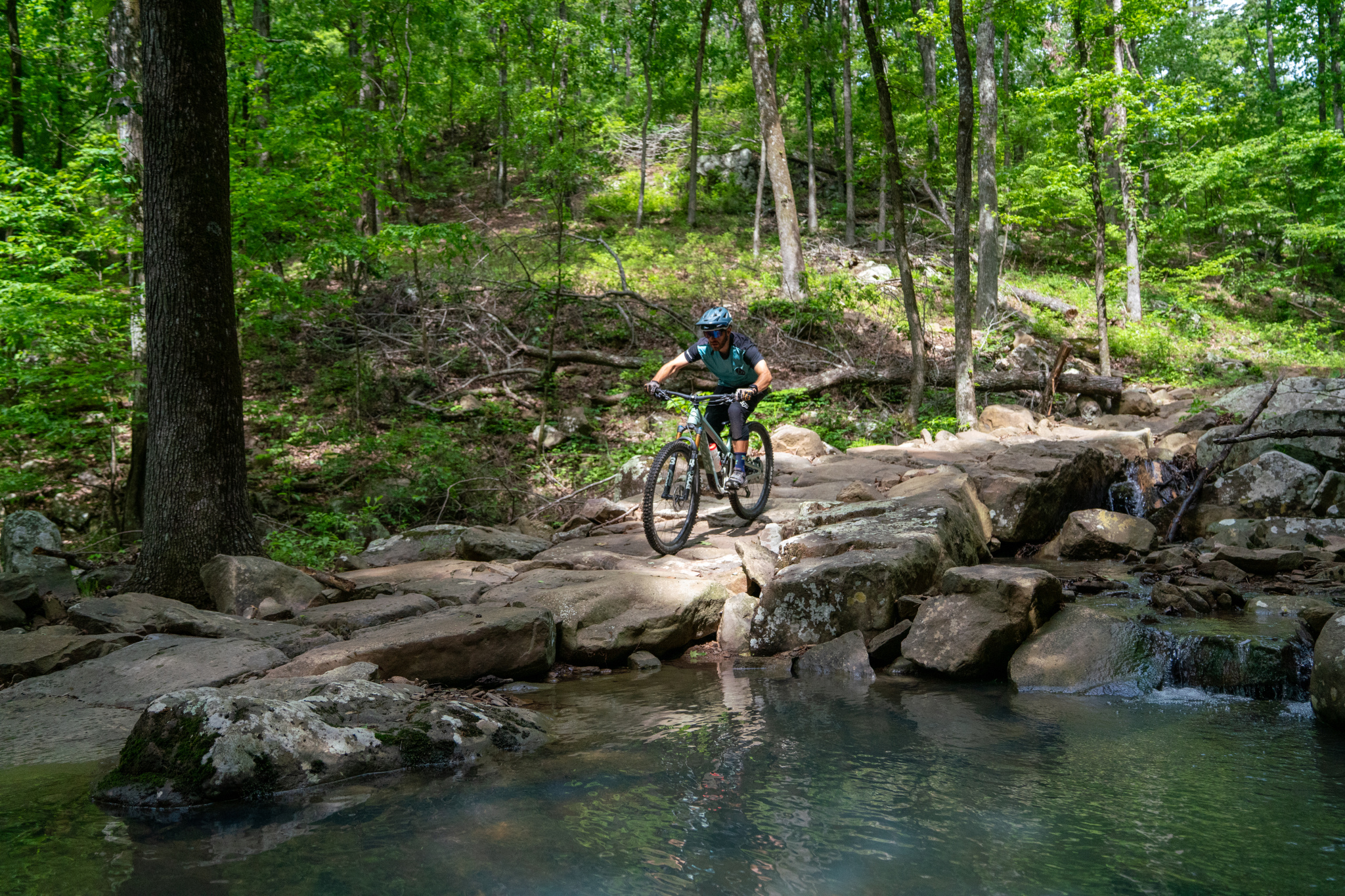 I rode in 8 countries and 12 states in 2025. Here are the best MTB ...