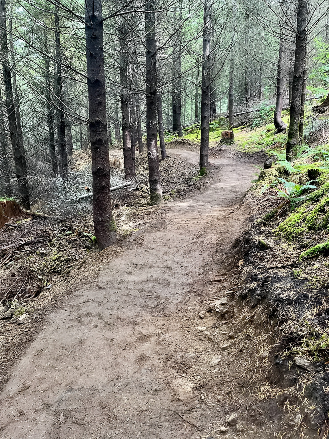 Galbraith Mountain adds 5 new trails and 2 major rebuilds in 2025, with ...